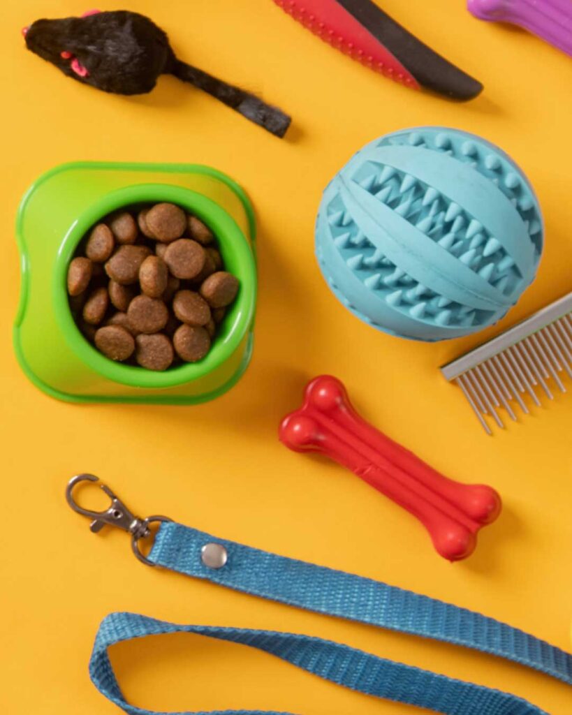 Apie mus – Fantastic Dogs